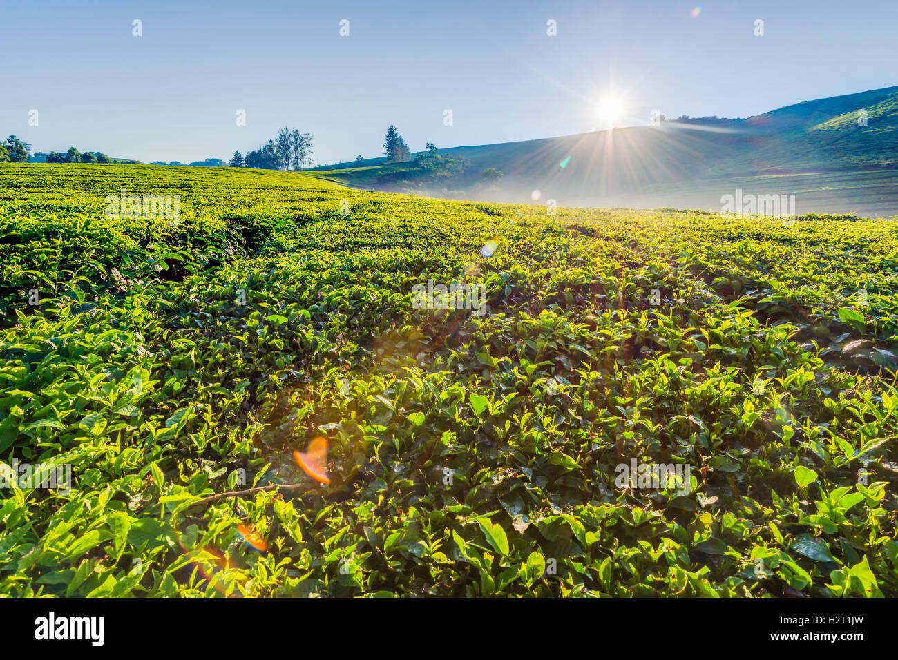 Gentle green highlands hi-res stock photography and images - Alamy