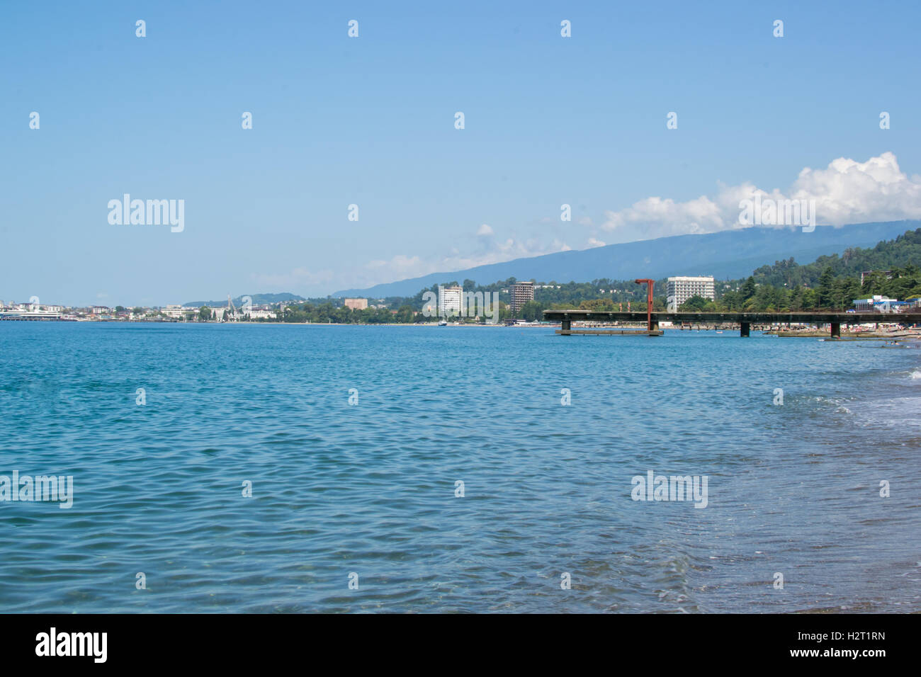 plant nature sea scene color tropical in beauty sky palm tree climate ...