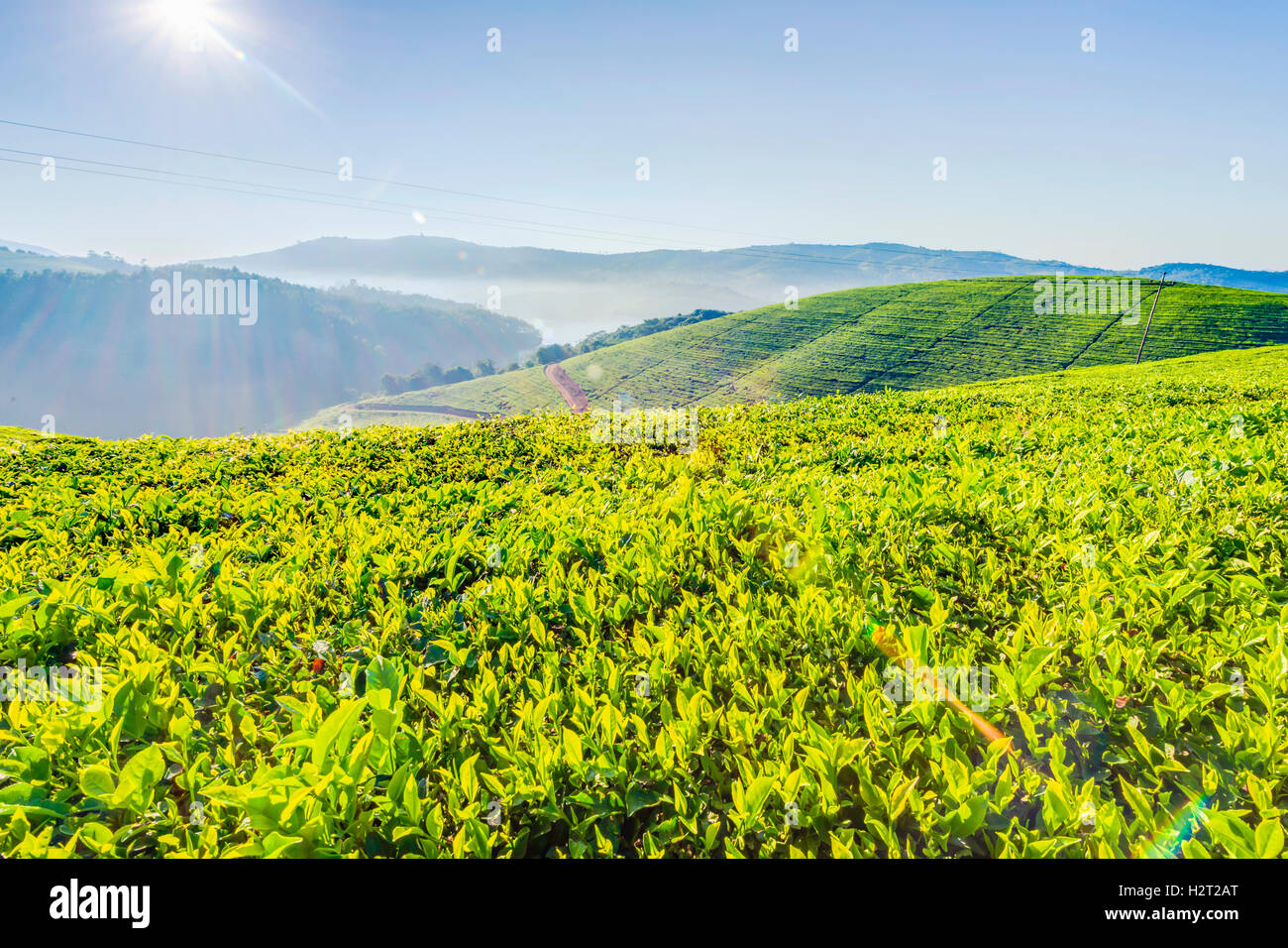 Gentle green highlands hi-res stock photography and images - Alamy