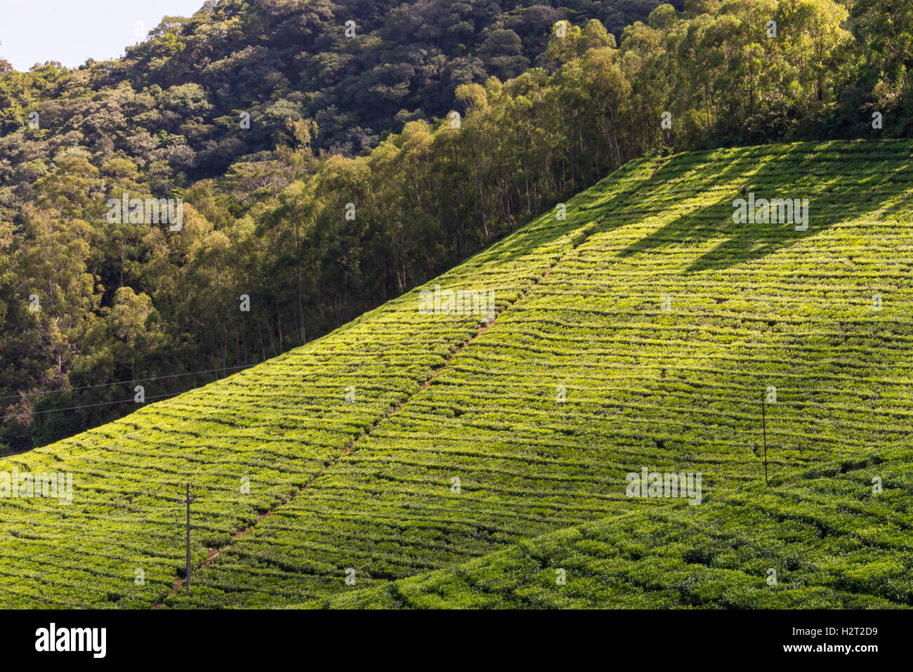 Gentle green highlands hi-res stock photography and images - Alamy