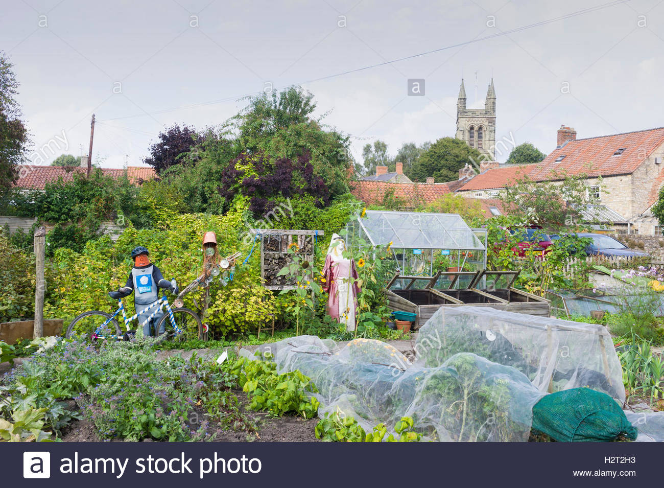 Allottments High Resolution Stock Photography and Images - Alamy