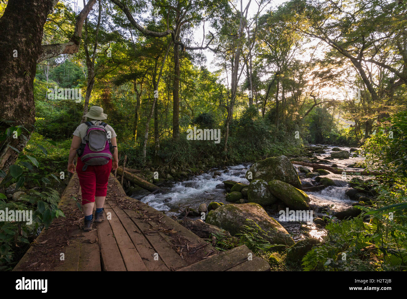 Large forestry estate hi-res stock photography and images - Alamy