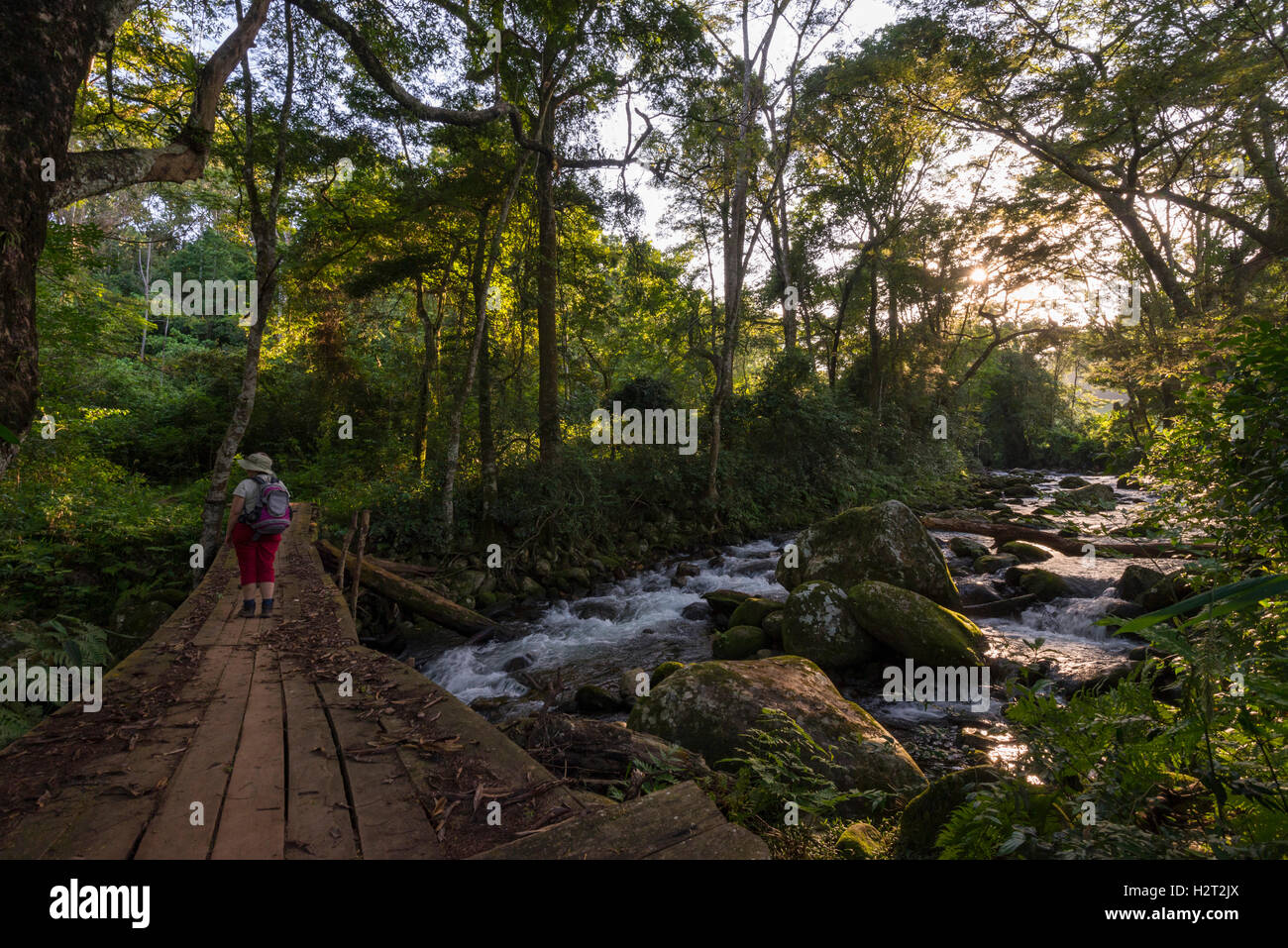Large forestry estate hi-res stock photography and images - Alamy