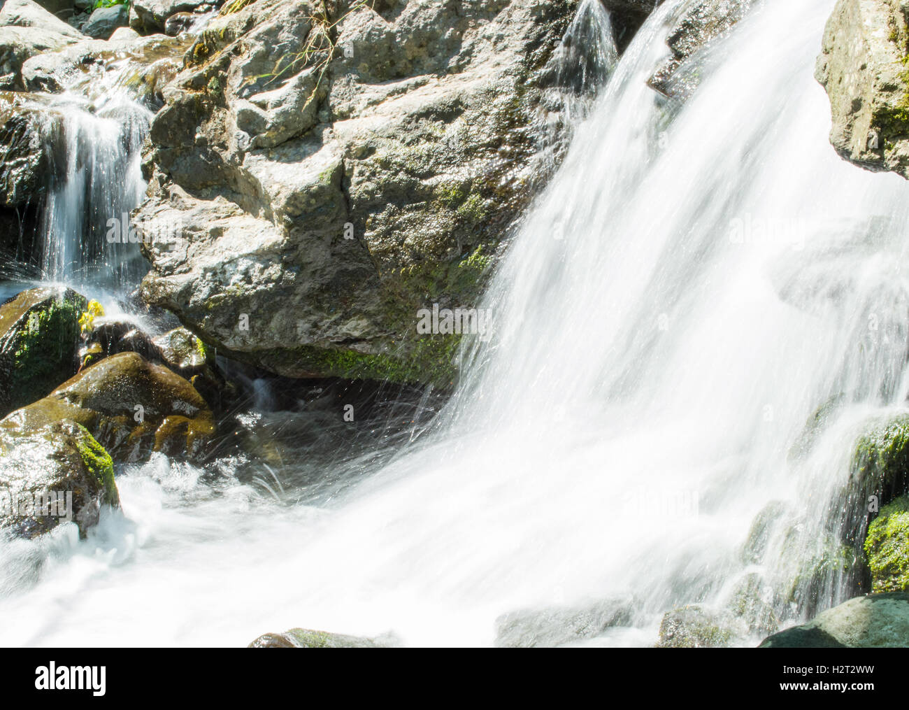 Hydroelectric power dam rainforest hi-res stock photography and images ...