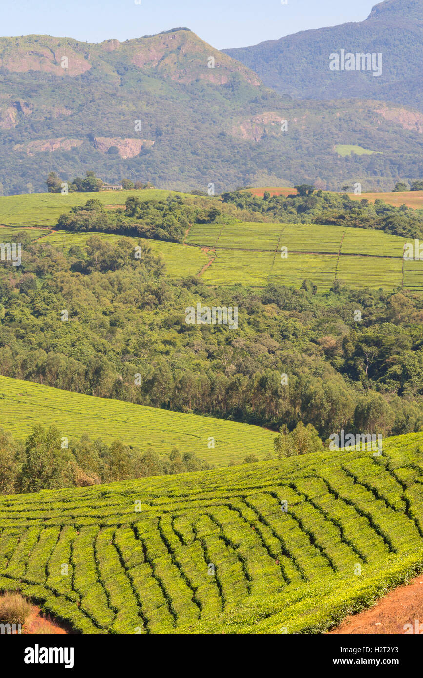 Gentle green highlands hi-res stock photography and images - Alamy