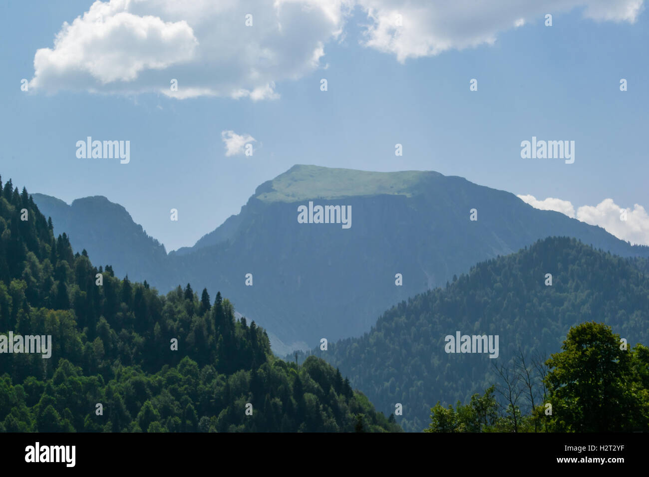 mountain forest landscape mountains summer nature sky Stock Photo - Alamy