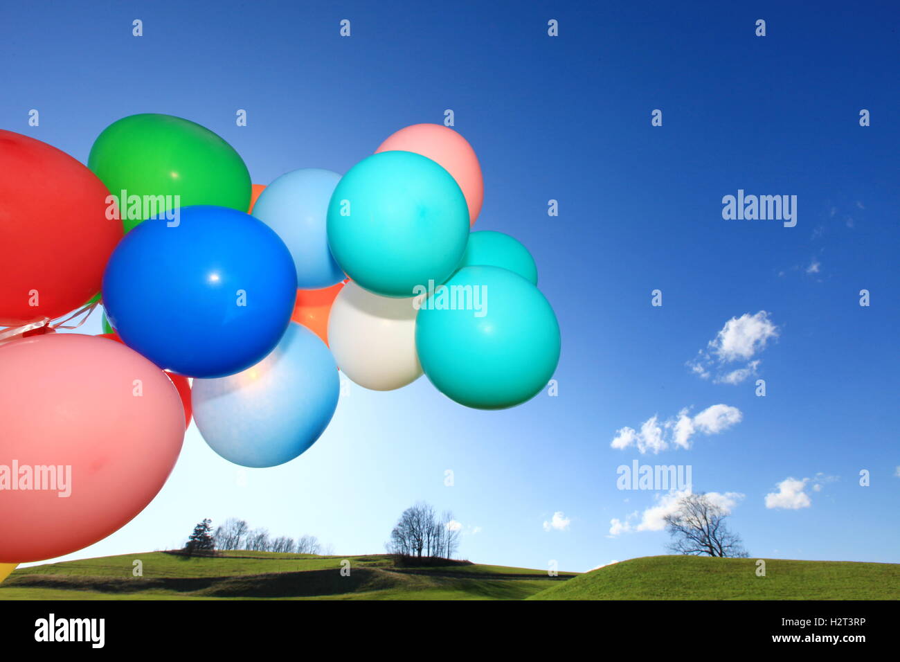 Many colourful balloons in a green landscape, Allgaeu Stock Photo - Alamy