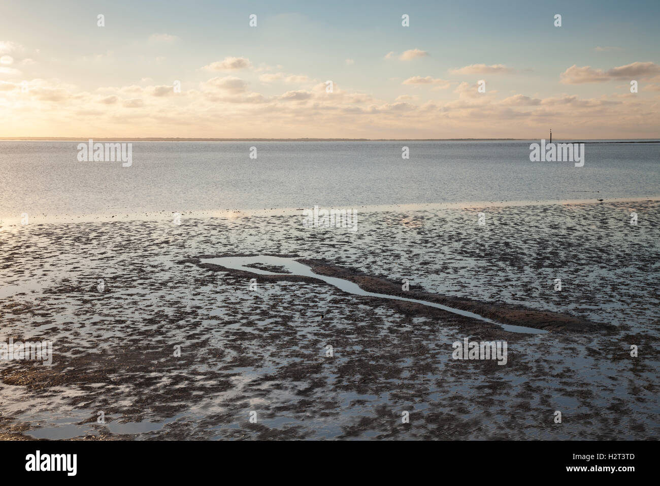 Mud flat, evening mood, tide, Lower Saxon Wadden Sea National Park ...
