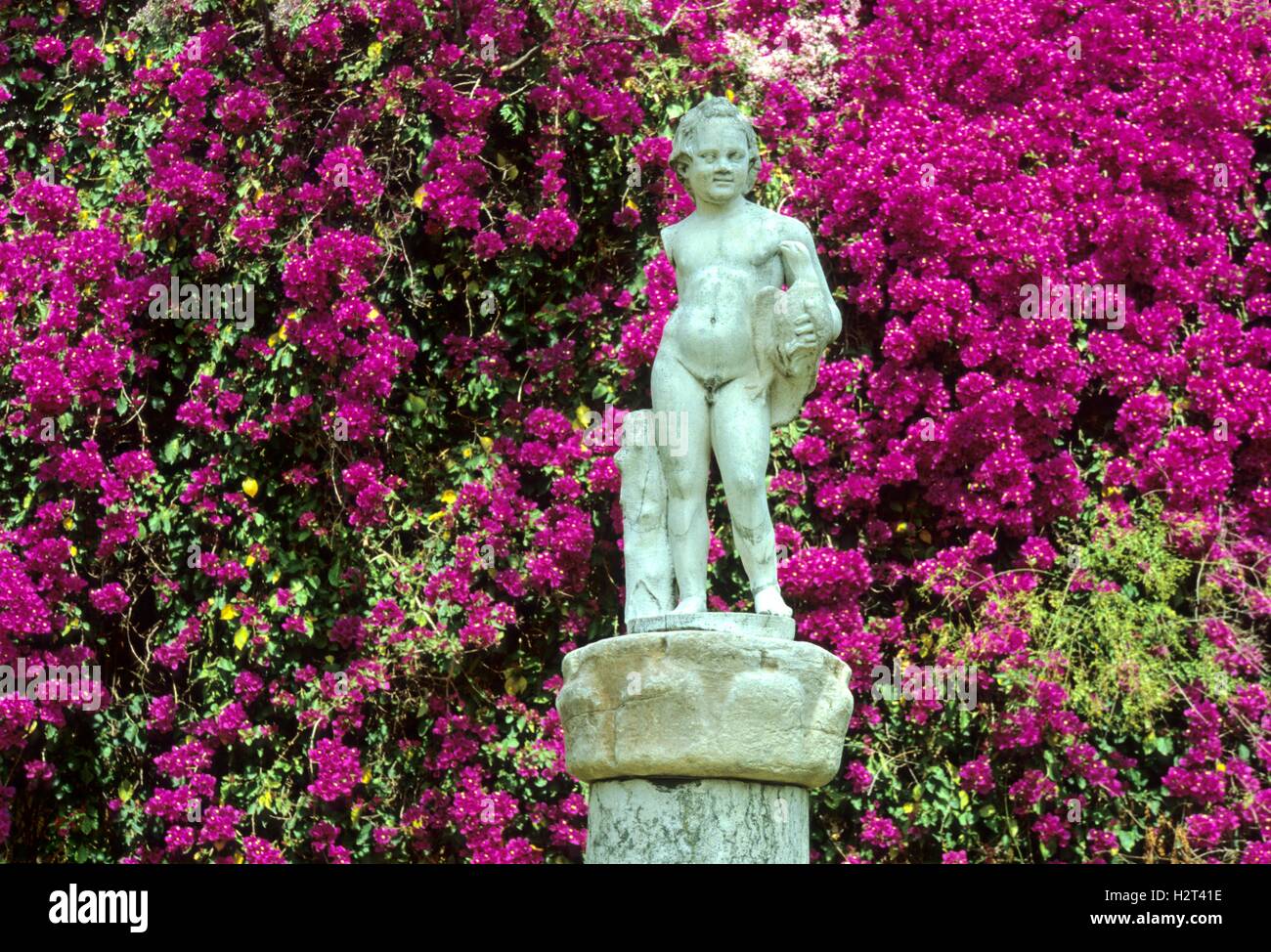 Statue in front of flowers, Casa de Pilatos, Seville, Spain, Europe ...