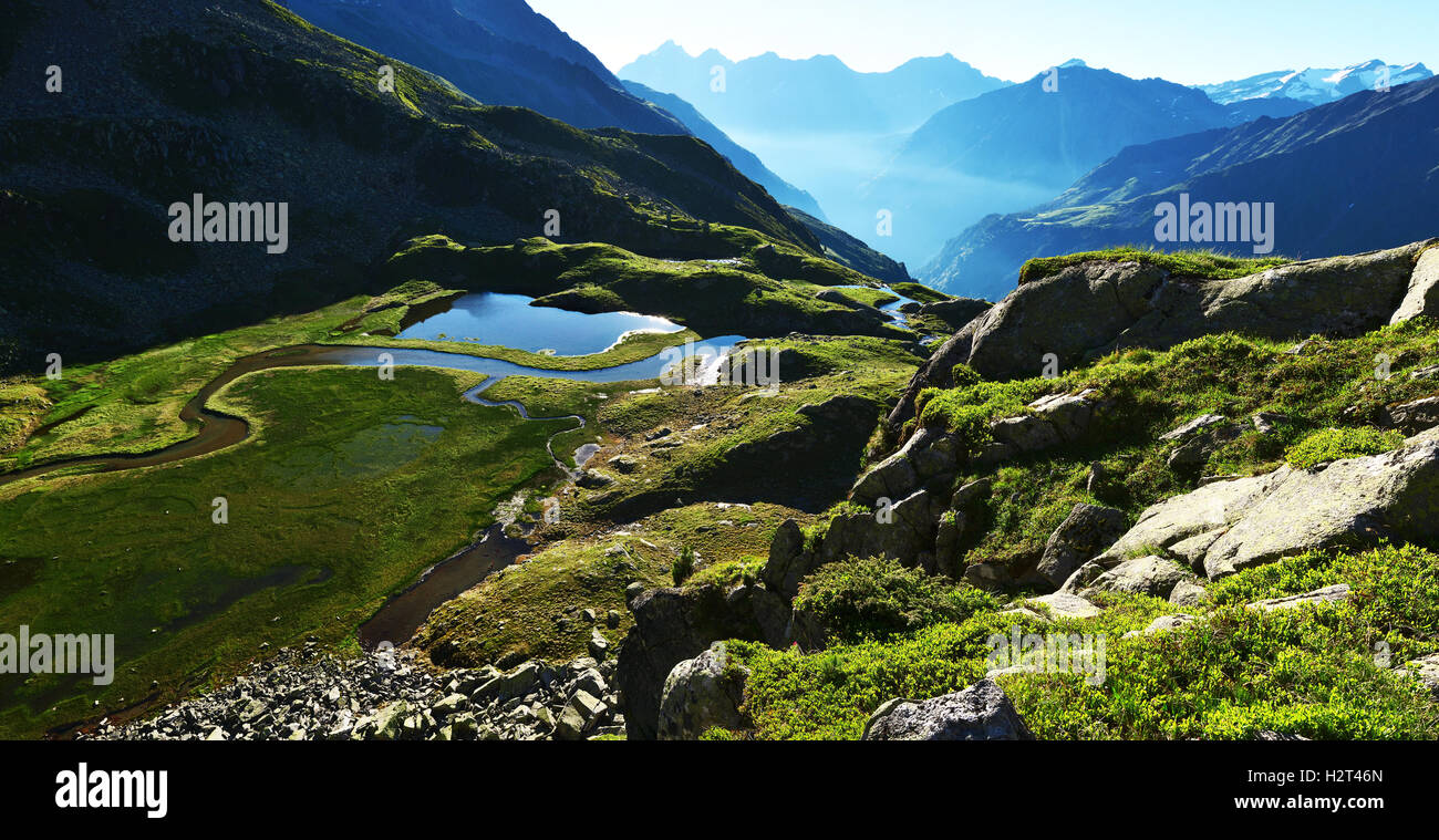 Wetlands in Stubai valley of the tyrolean Alps, Tyrol, Austria Stock ...