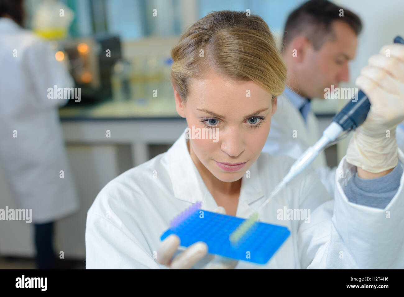 Female lab technician collecting samples from pipette Stock Photo - Alamy