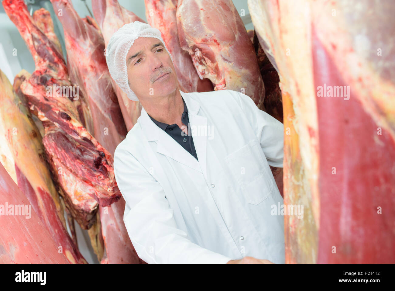 Skinned carcass hi-res stock photography and images - Alamy