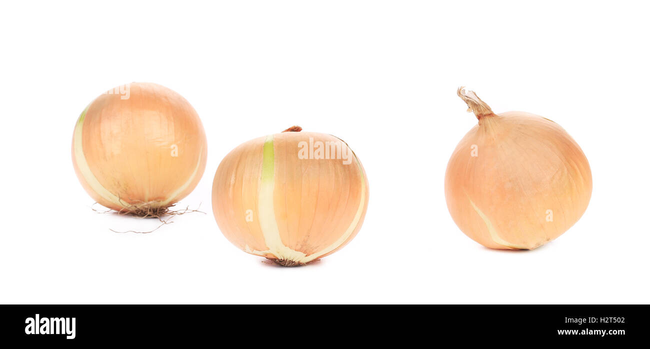 Three ripe onions Stock Photo - Alamy