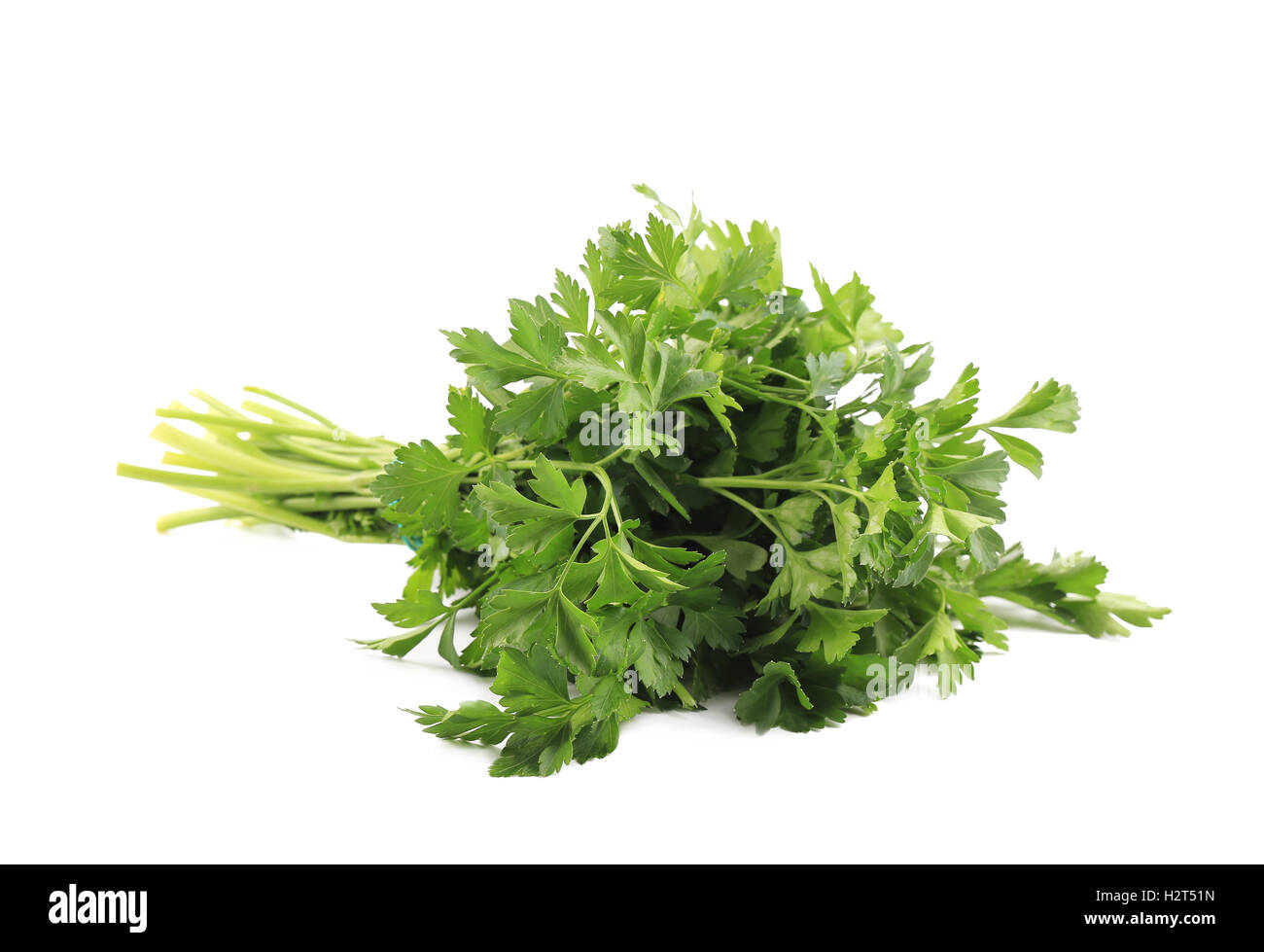 Bunch of fresh parsley Stock Photo - Alamy