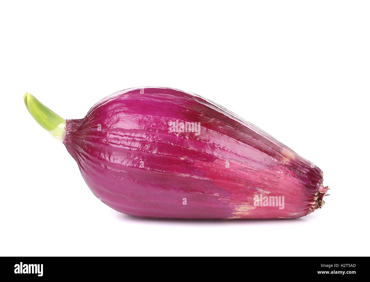 One red onion peeled Stock Photo - Alamy
