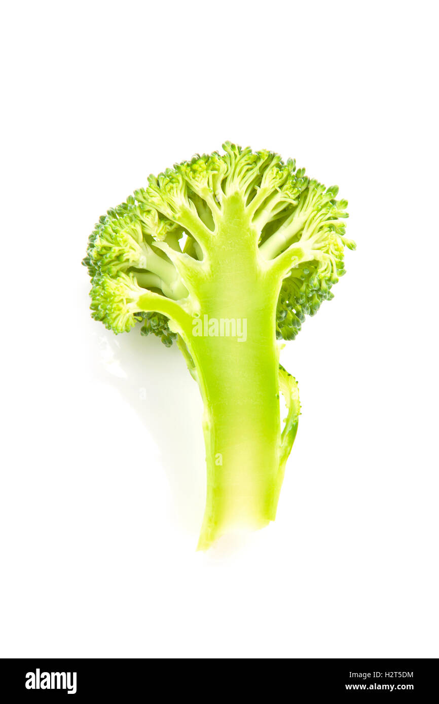 Broccoli section isolated Stock Photo - Alamy