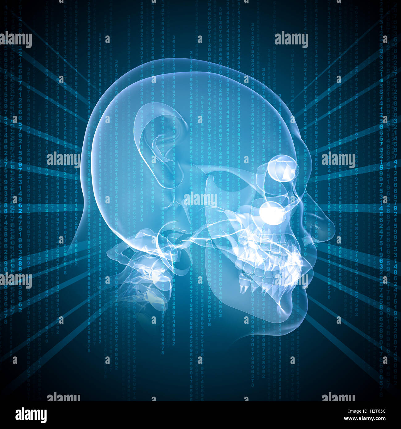 X-ray image of a man's head Stock Photo - Alamy