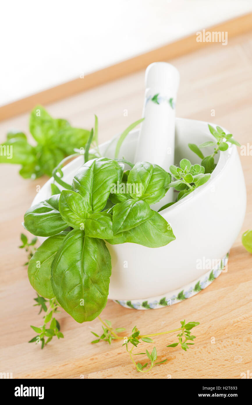 Aromatic culinary herbs Stock Photo - Alamy