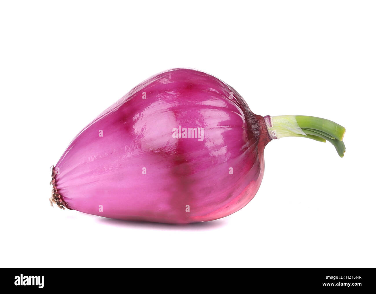 One red onion peeled Stock Photo - Alamy