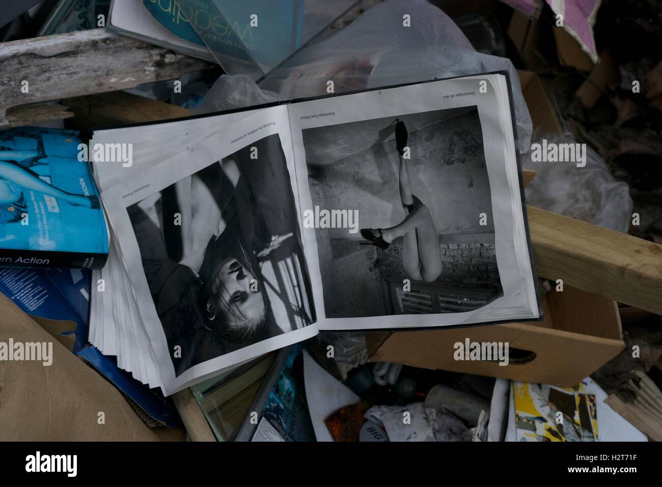 Destroyed Photo Book Stock Photo - Alamy