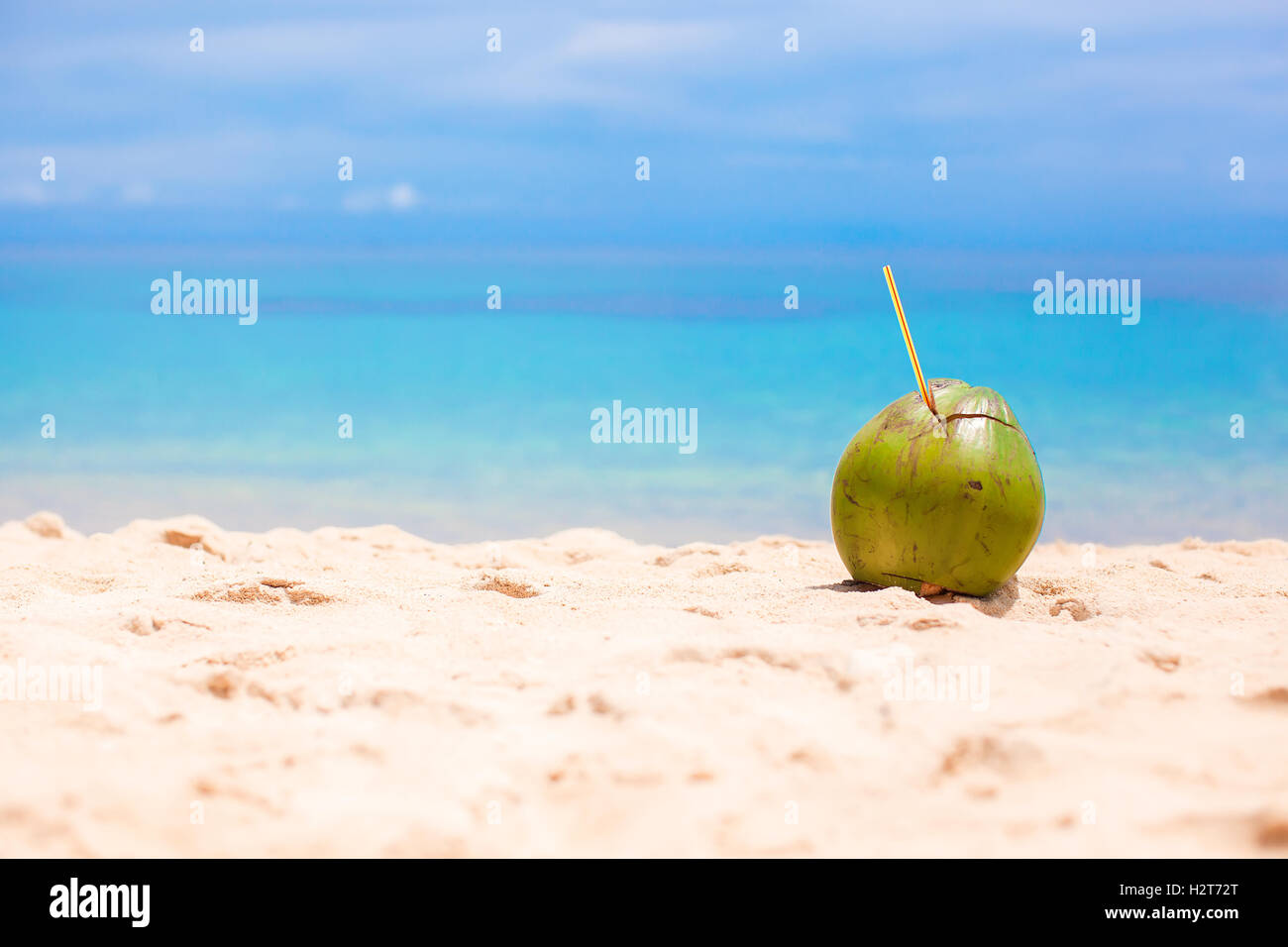 Coconut on the beach background turquoise sea and blue sky Stock Photo ...