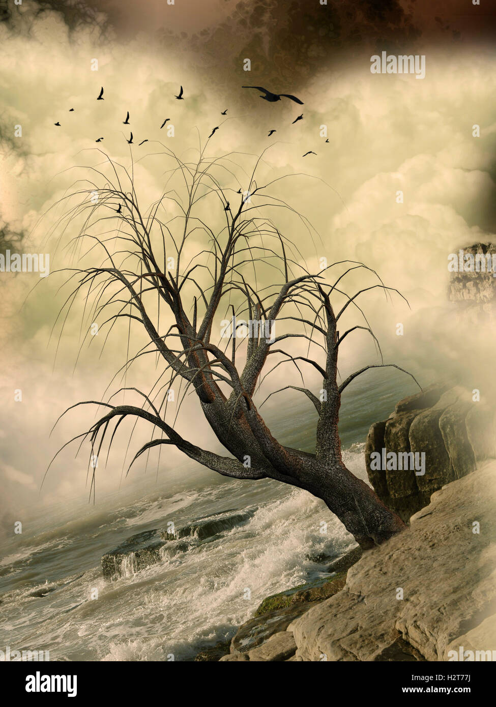 Tree backdrops hi-res stock photography and images - Alamy