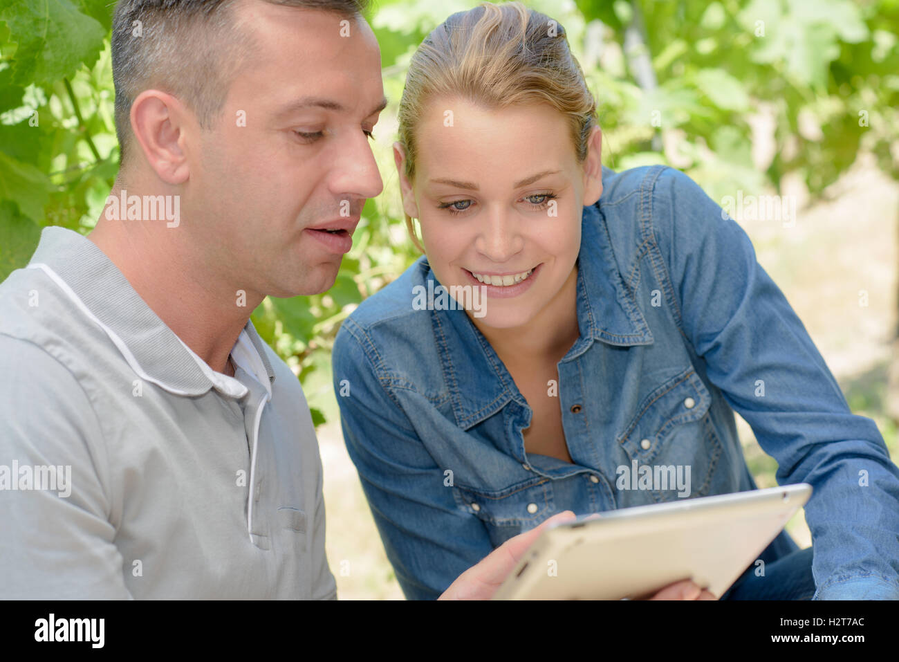 Man and woman next to grape vine looking at tablet Stock Photo - Alamy