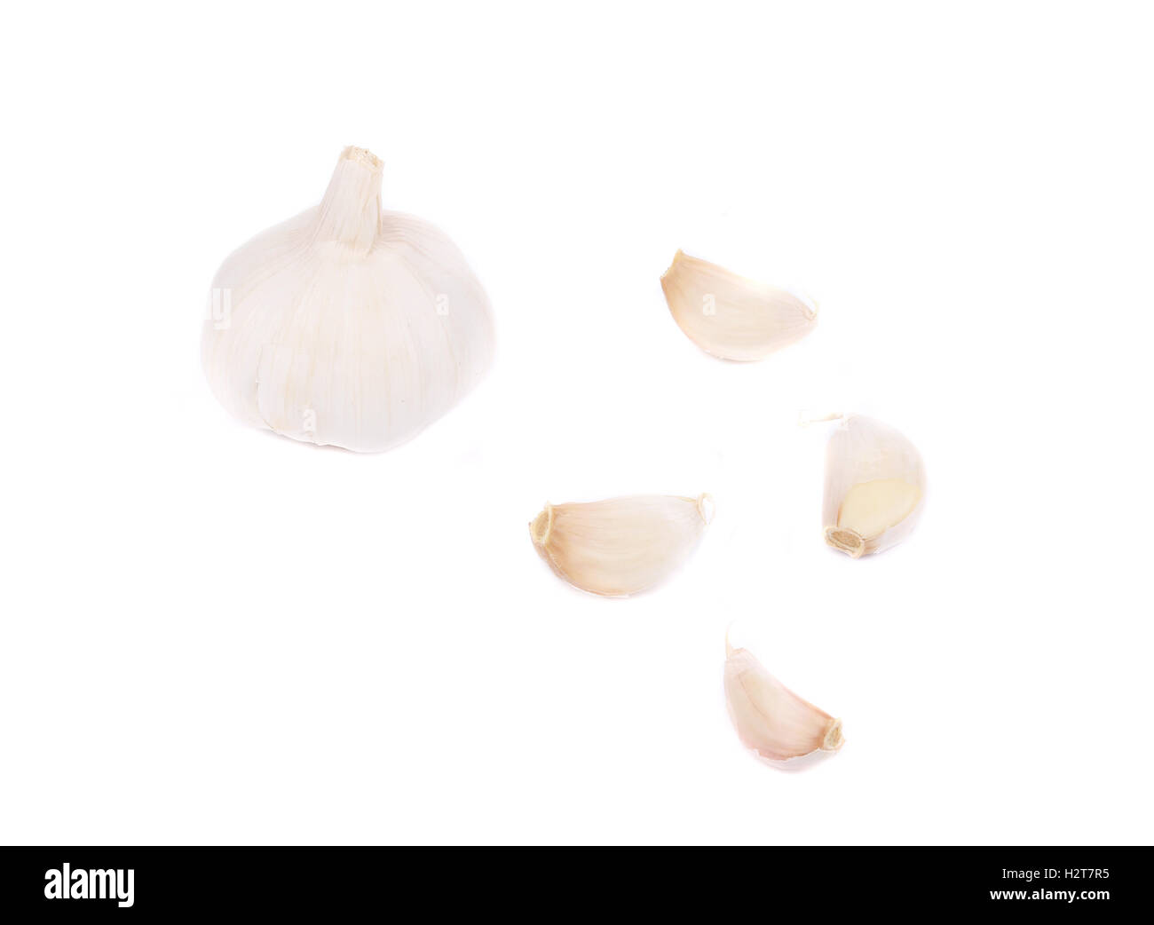 Fresh garlic whole and cloves Stock Photo - Alamy