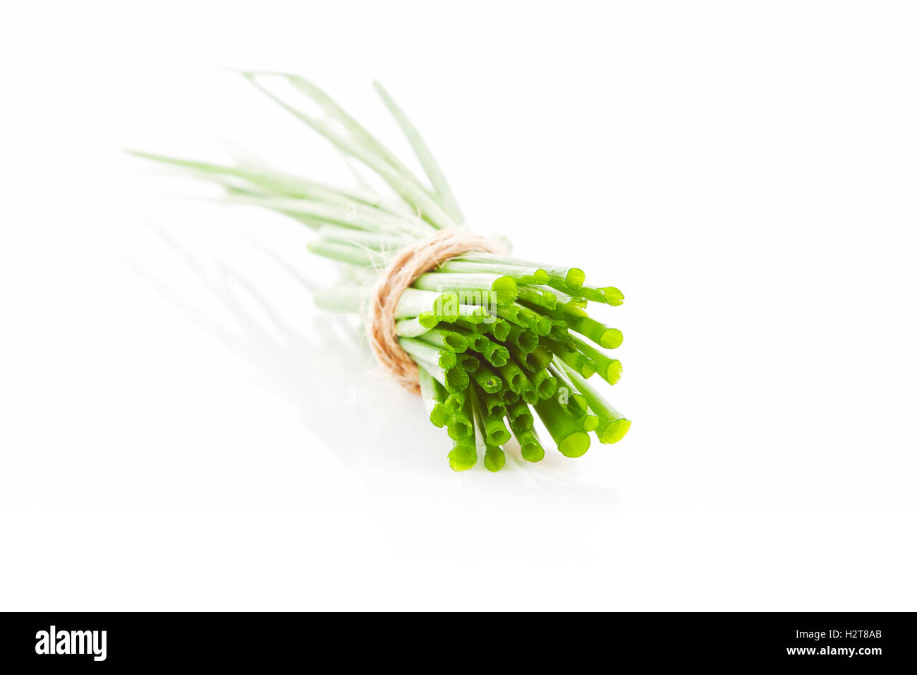 Chive bunch cross section isolated Stock Photo - Alamy