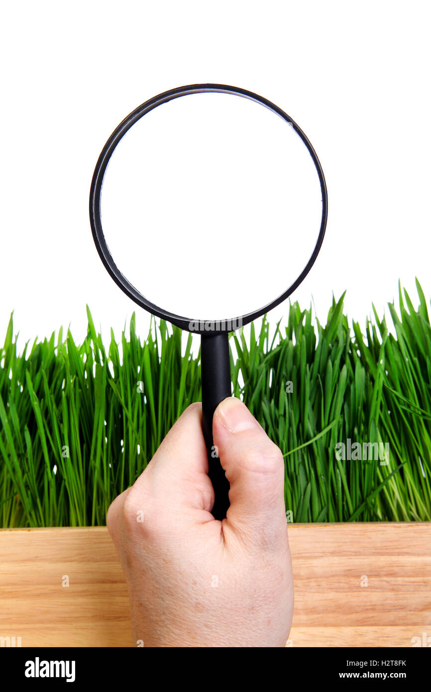 Loupe on the Grass Stock Photo - Alamy