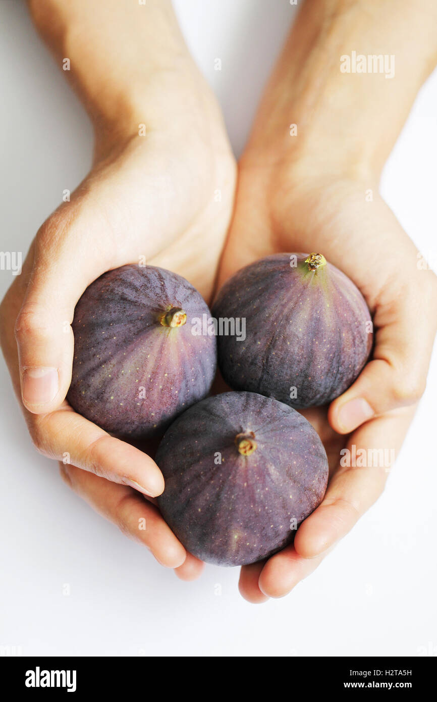 Hands holding figs close up isolated beautiful photo Stock Photo - Alamy