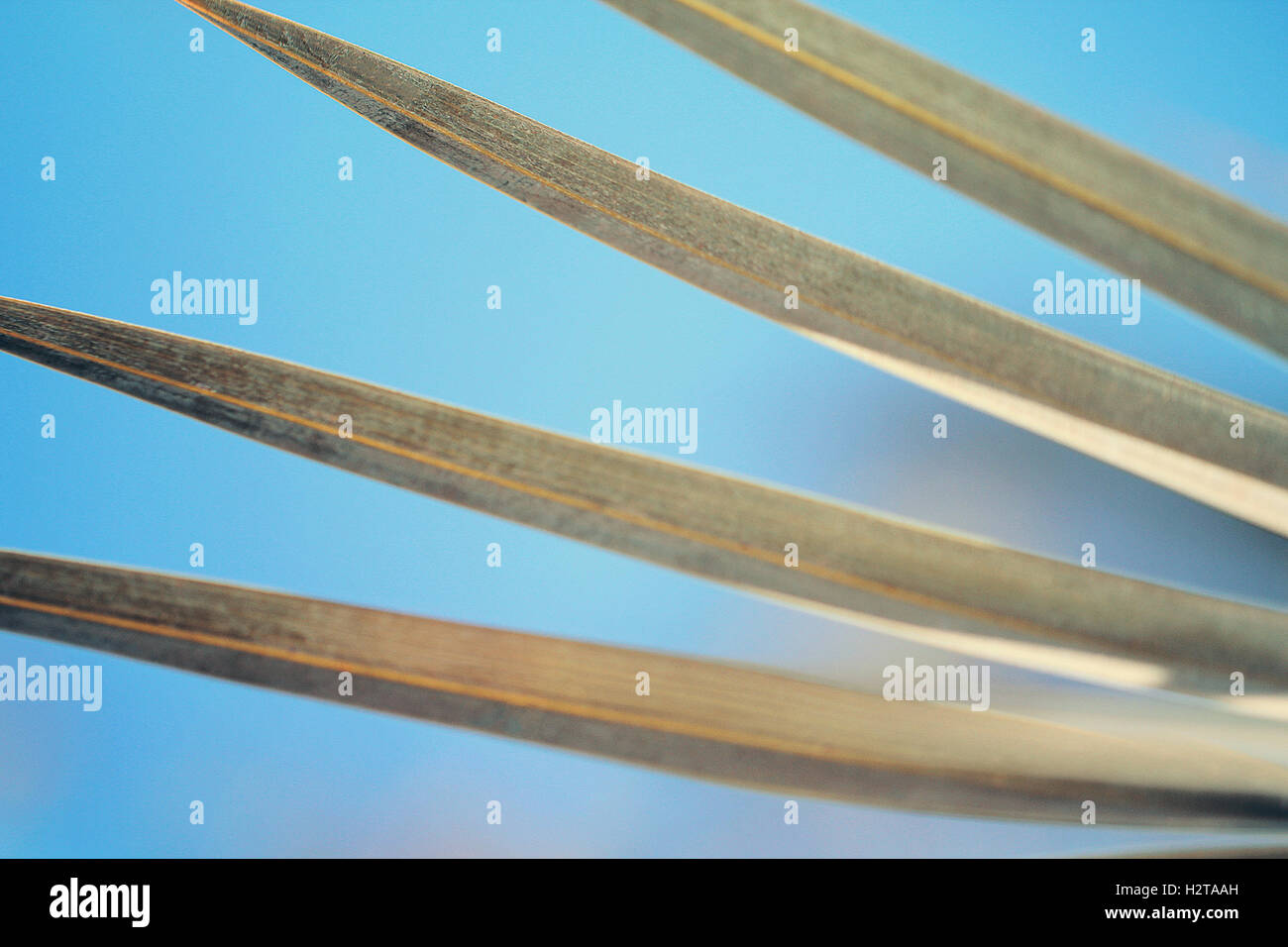 Date palm texture hi-res stock photography and images - Alamy