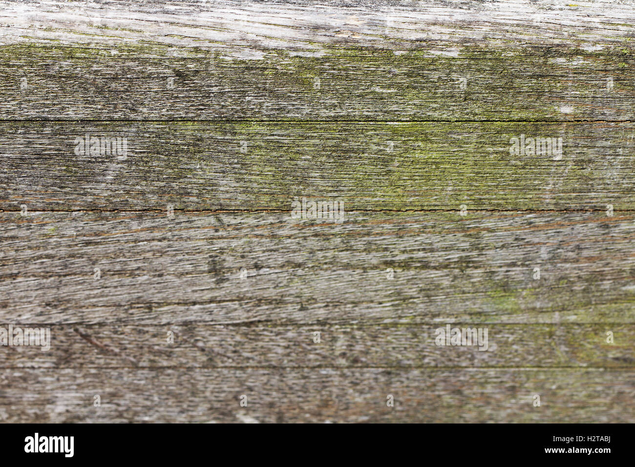 Old rough wooden texture background close up photo Stock Photo - Alamy