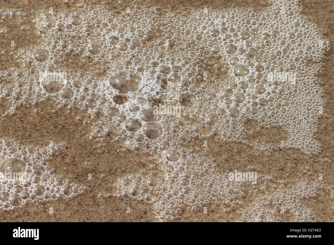 Bubbles in a sea foam from waves close up macro Stock Photo - Alamy