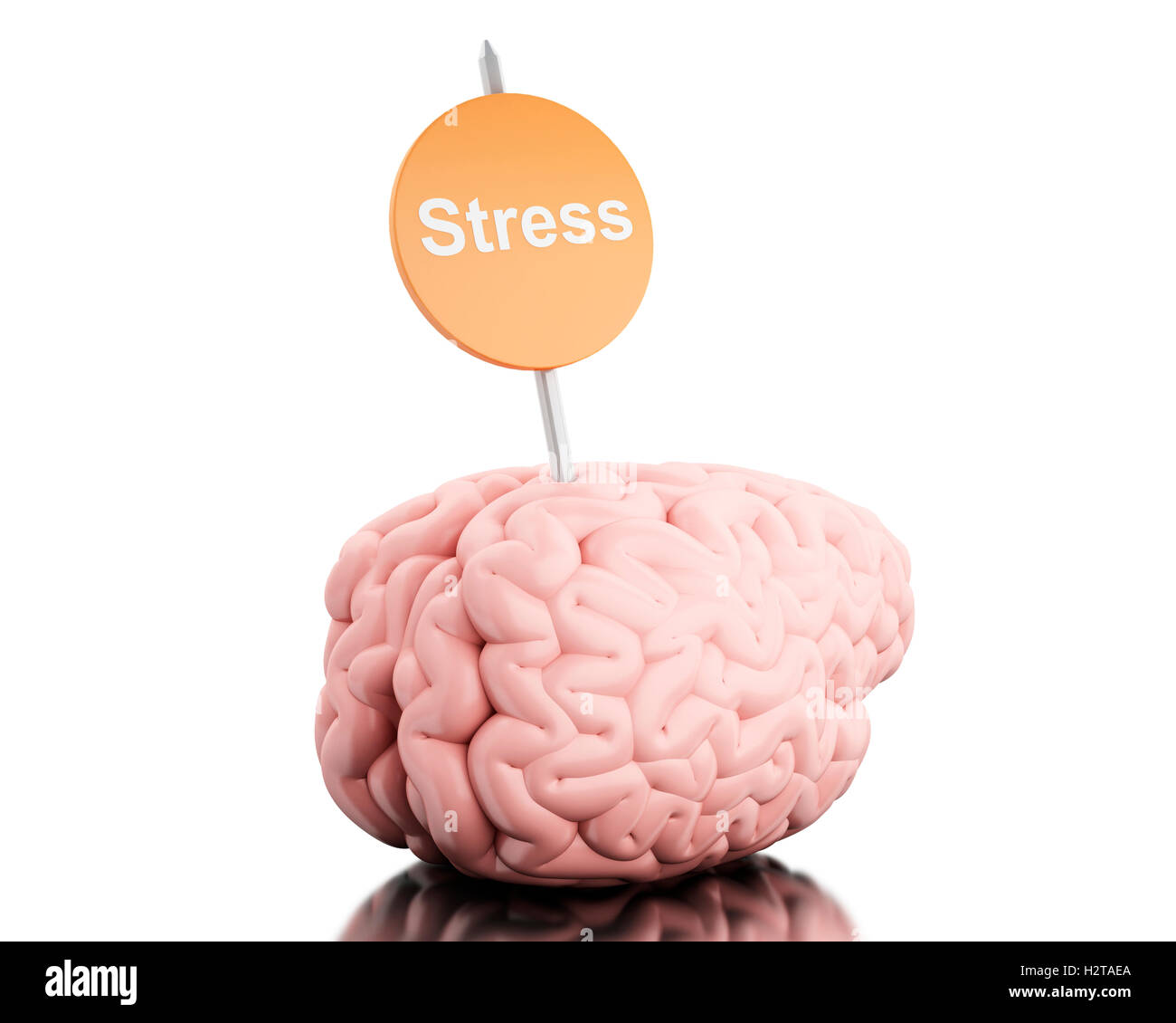3D Illustration. Brain with a signboard and word stress. Isolated white ...