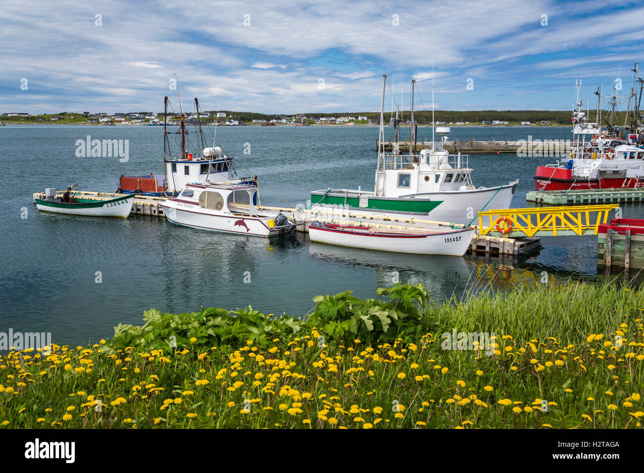 Fishing boats at the dock in the harbor of Port au Choix, Newfoundland ...