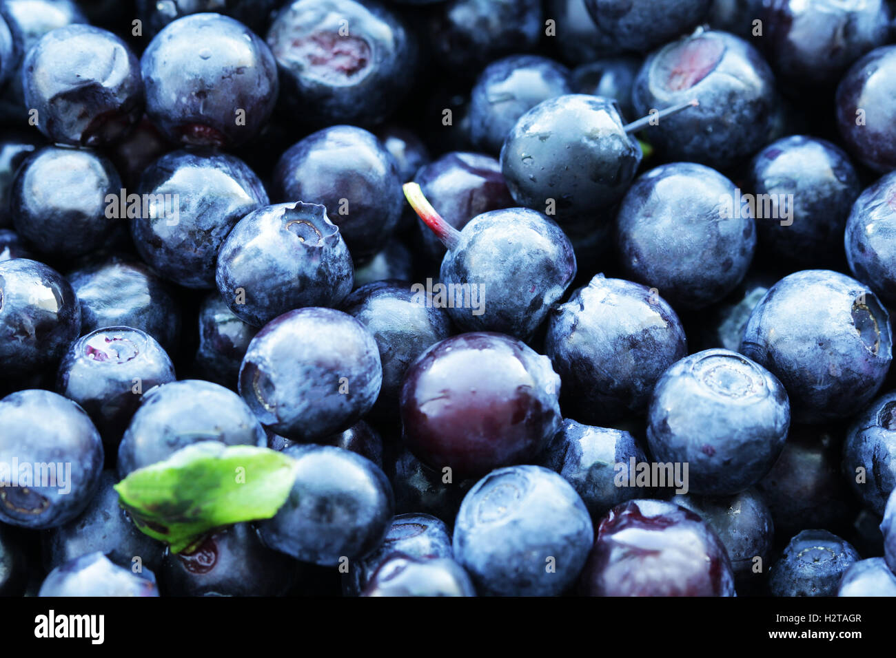 Blueberry food background close up macro photo Stock Photo - Alamy