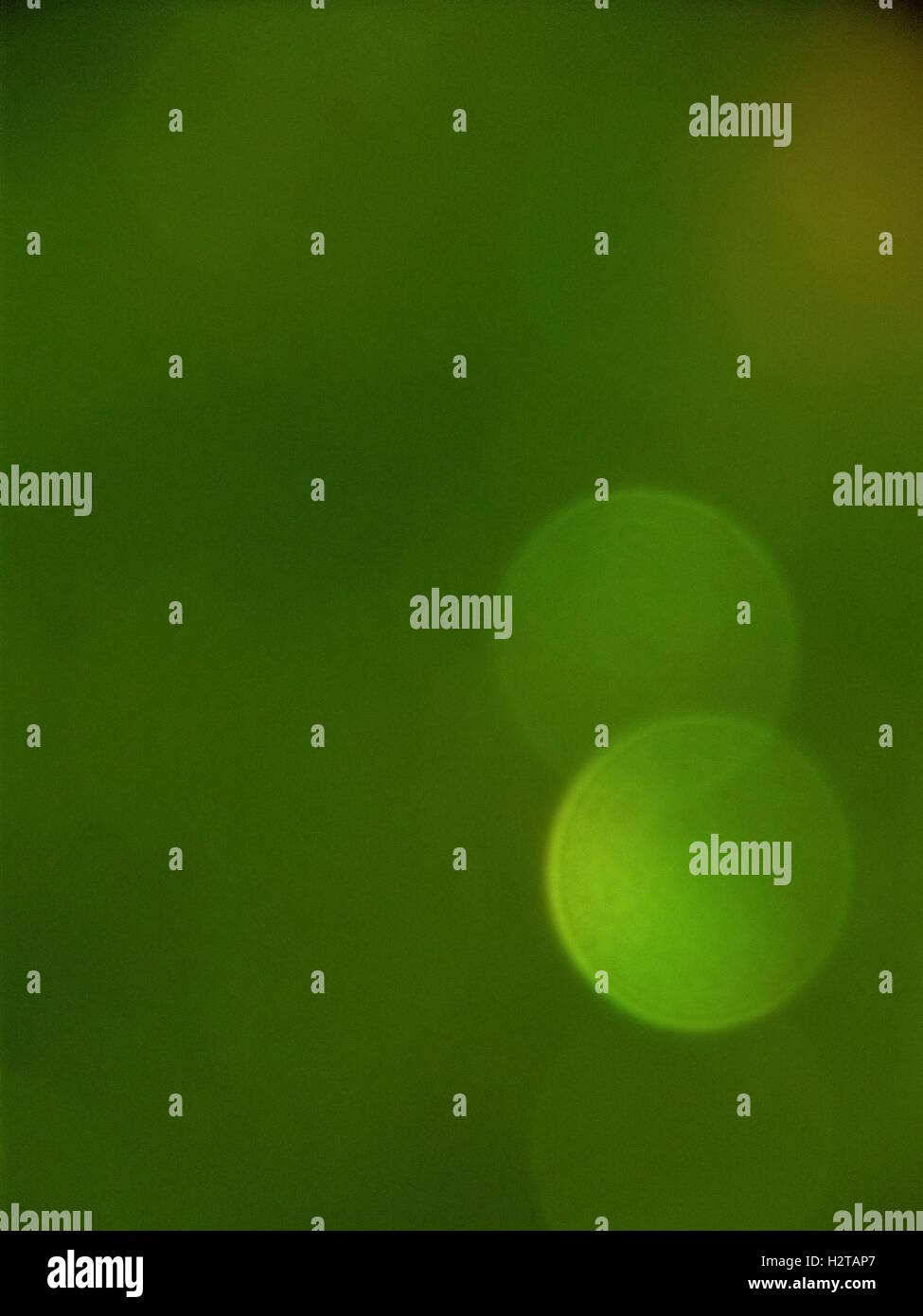 Blurred olive green background hi-res stock photography and images - Alamy