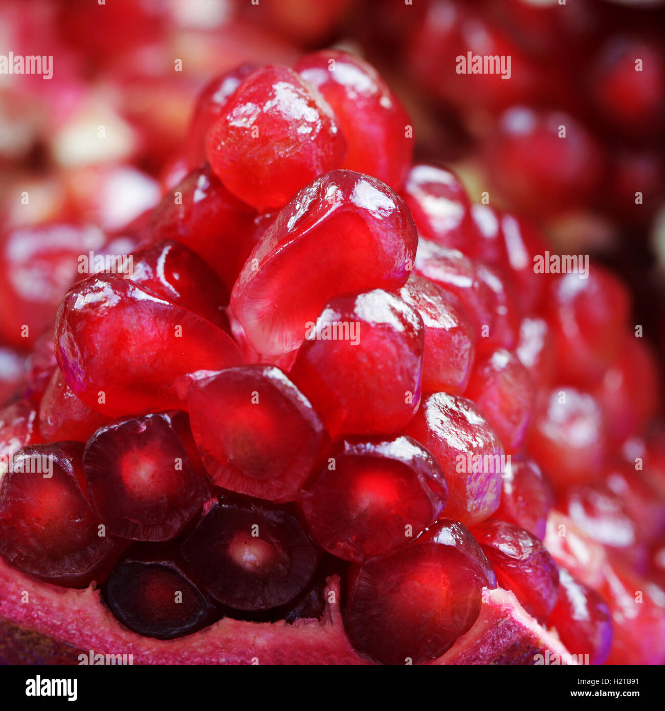 Pomegranate red fruit beautiful close up macro photo Stock Photo - Alamy