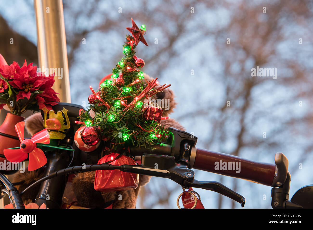 little christmas tree on bicylce handlebar Stock Photo - Alamy