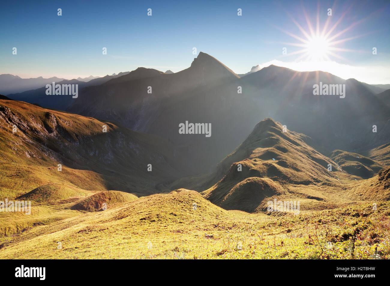 Gold sunbeam alpine hi-res stock photography and images - Alamy