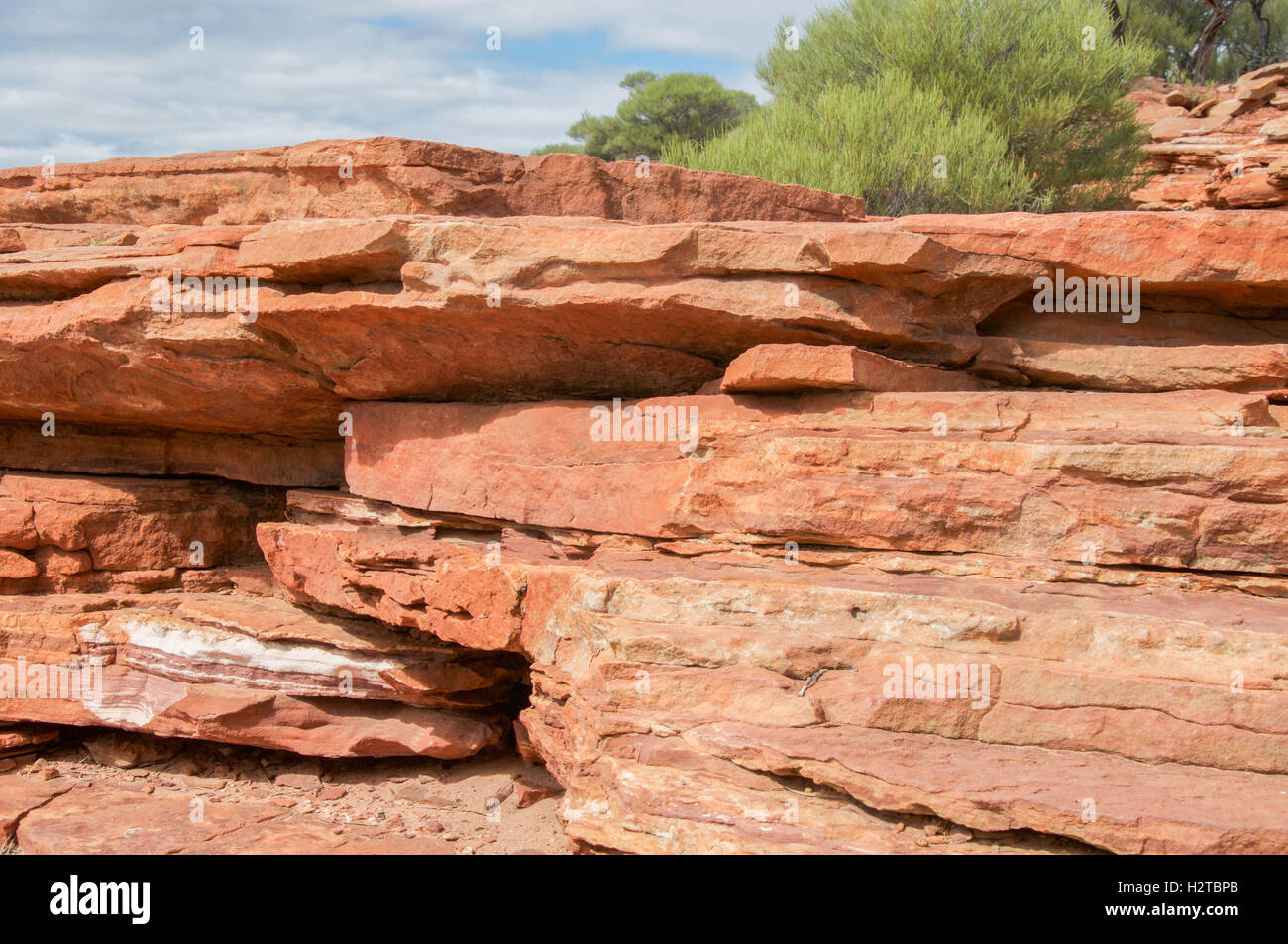Red sandstone cliff detail in the Kalbarri National park with plants ...