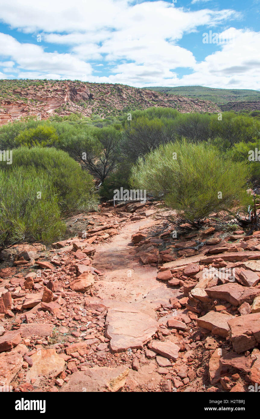 Rugged sandstone path through native bushland surrounded by gorge ...