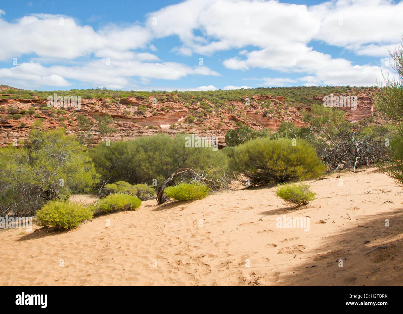 Sandy gorge view with native plants surrounded by sandstone bluffs in ...