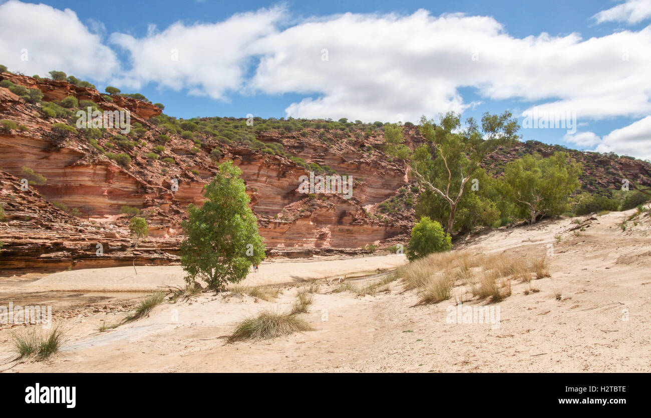 Sandy, dry riverbed and sandstone bluffs with native flora in the gorge ...