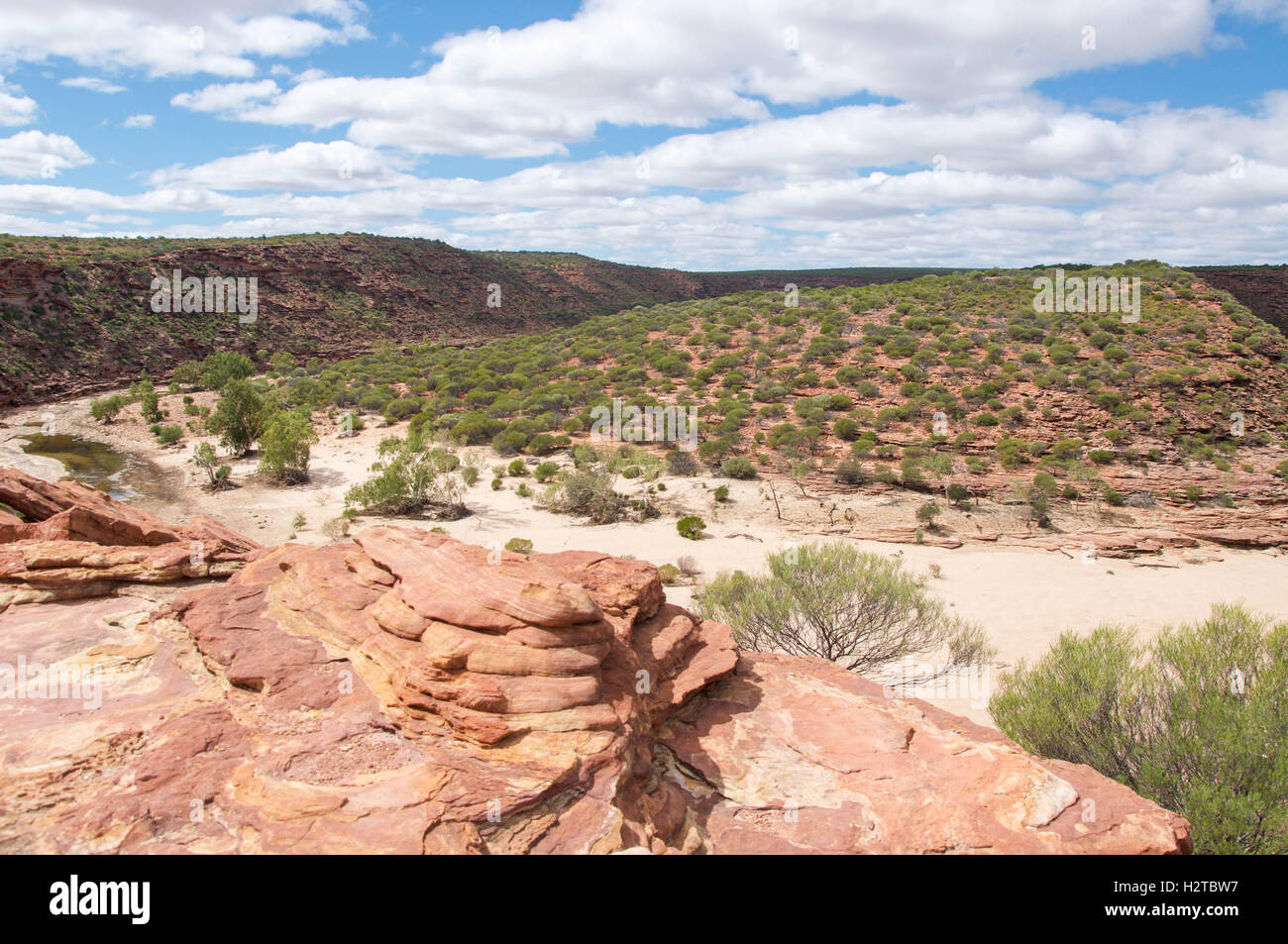 Elevated view over the Murchison River gorge with red sandstone and ...