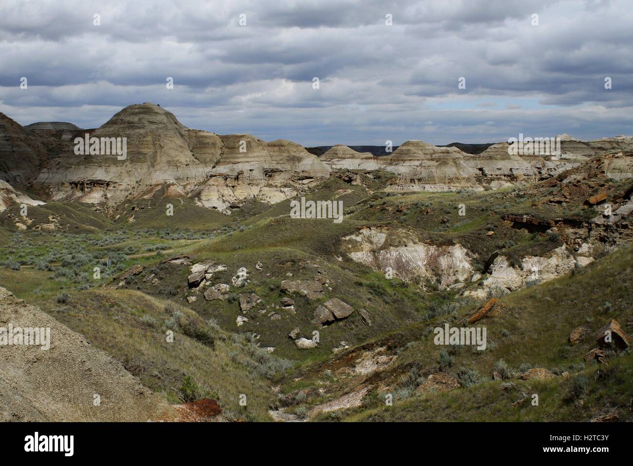 Sedimentary rock fossil canada hi-res stock photography and images - Alamy