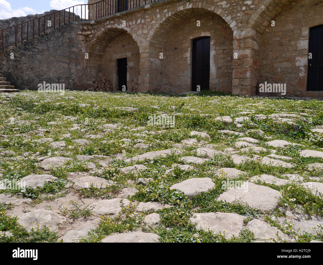 Flowers grow thru stones in the monastery yard Stock Photo - Alamy