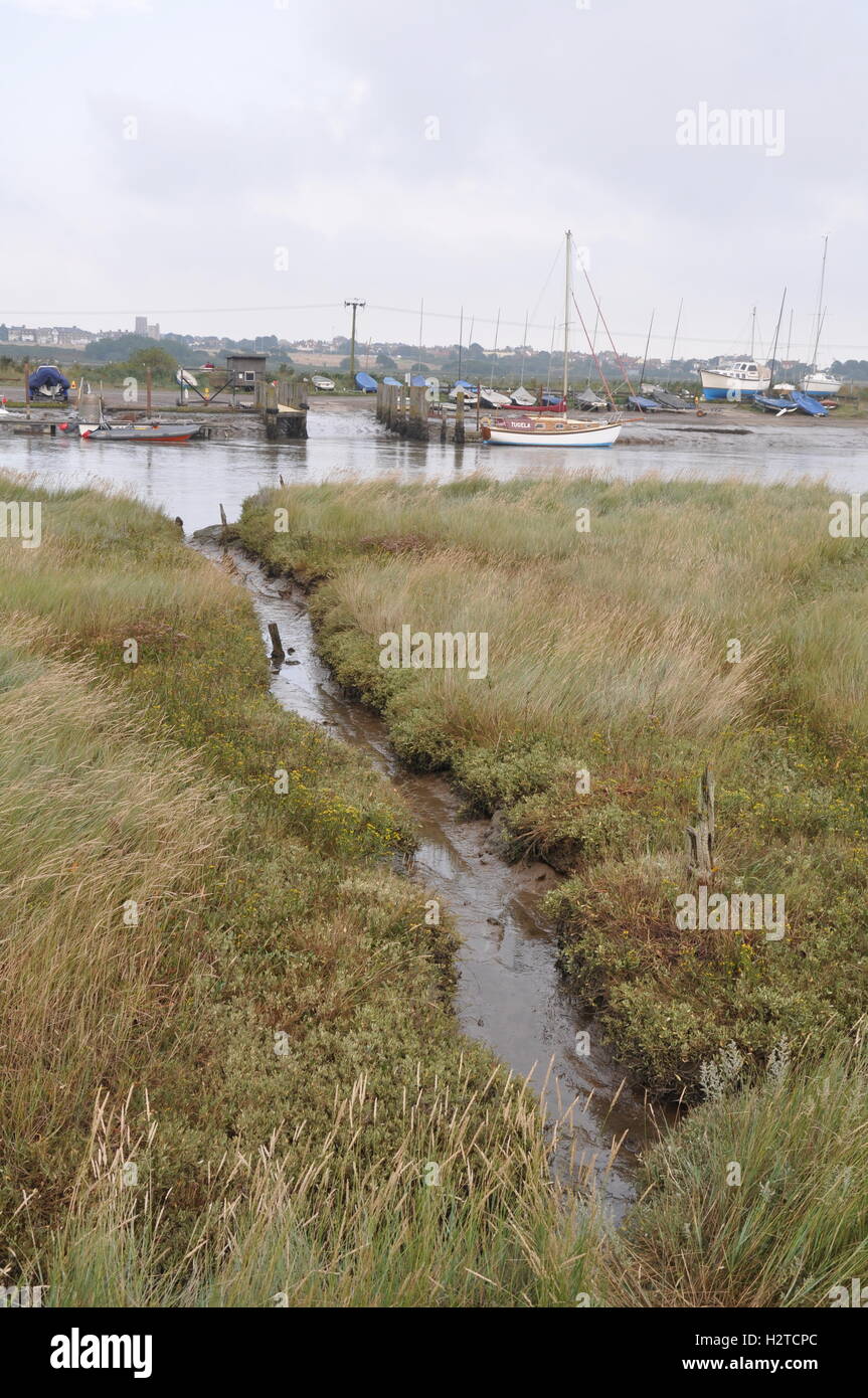 Saltmarsh in Southwold Harbour Walberswick Stock Photo - Alamy