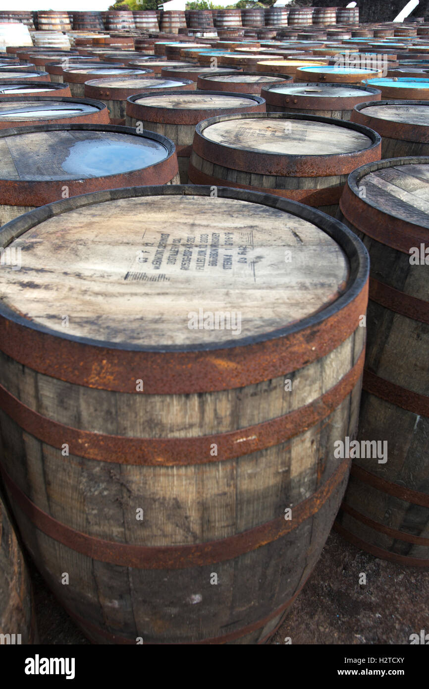 Isle of Islay, Scotland. Picturesque view of whisky barrels stored at ...